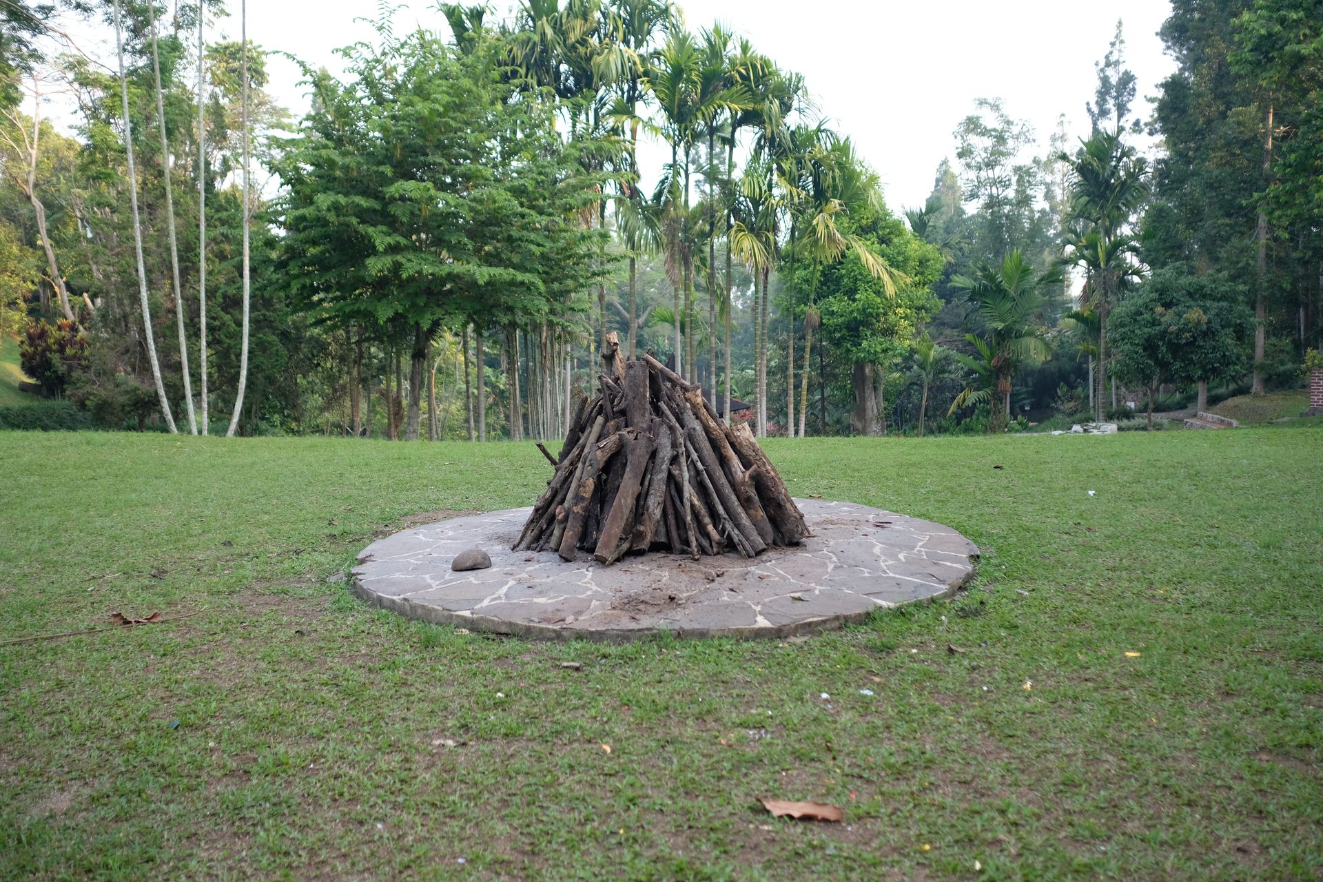 New Gallery | Pratista